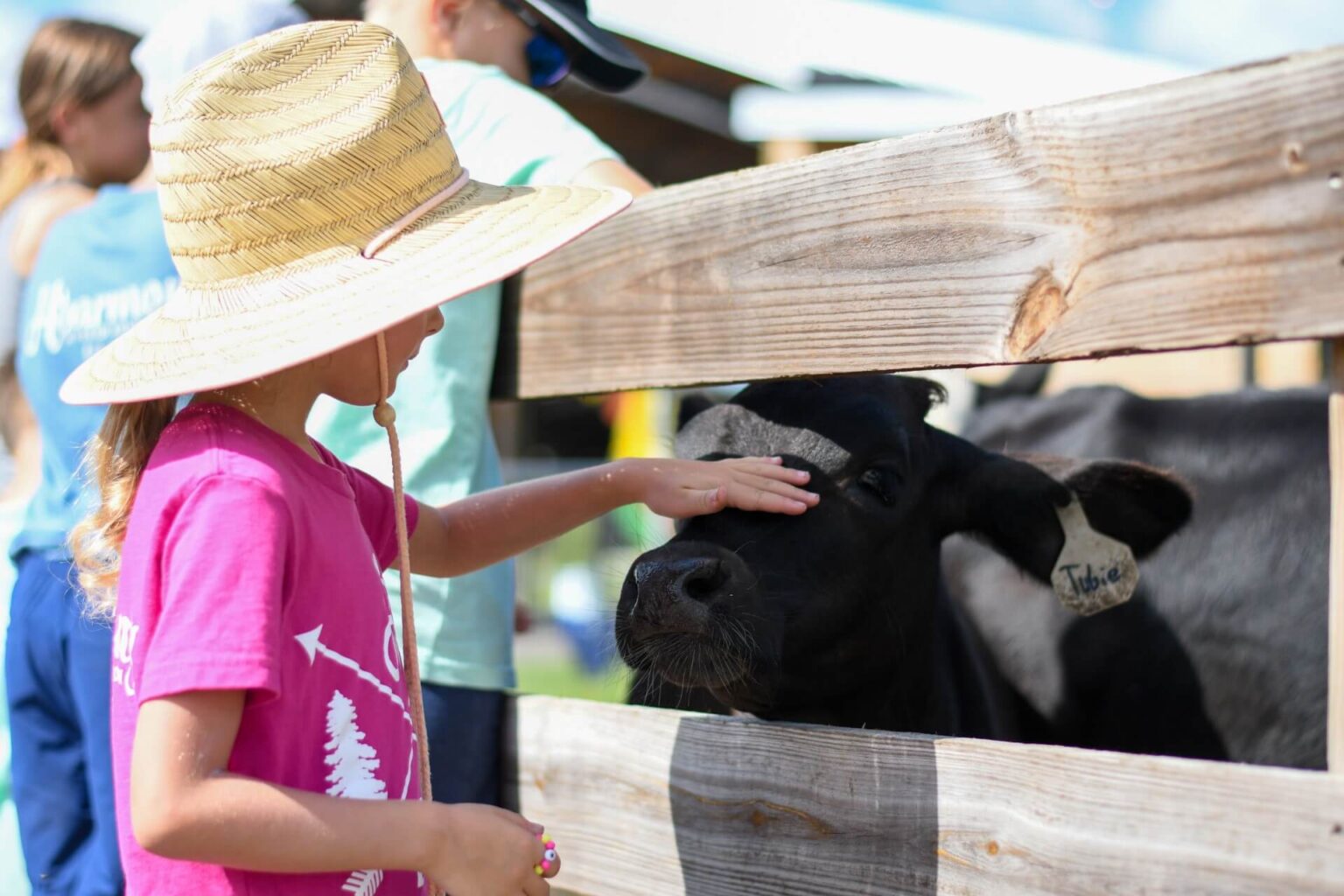 Visit the Farm - Hobe Sound Farms