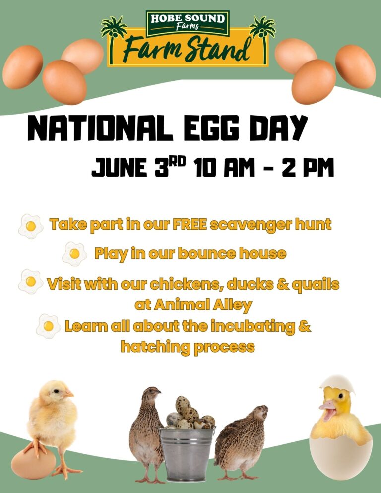 National Egg Day at the Farm Stand - Hobe Sound Farms
