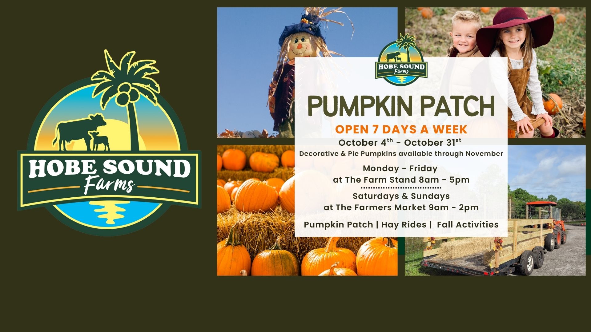 Fall Pumpkin Patch - Hobe Sound Farms